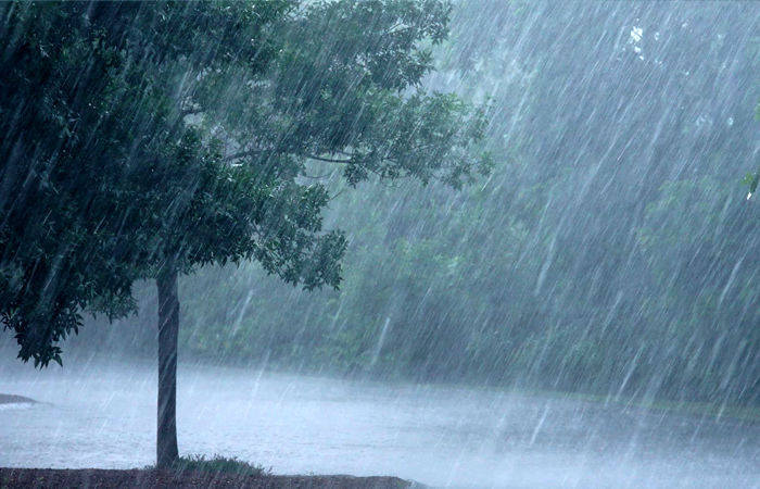 Imd Predicts Moderate Rainfall Accompanied By Thunderstorms Over East